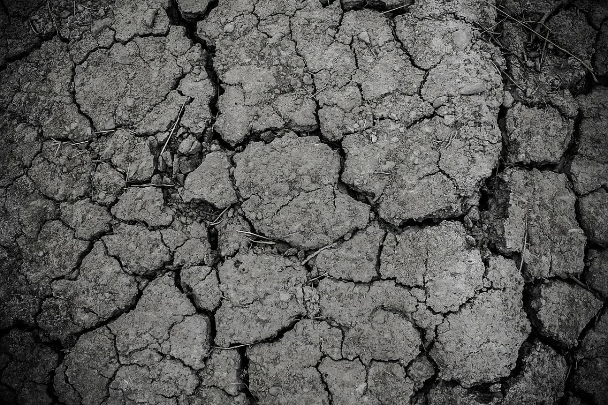 Manila Bulletin - PAGASA confirms El Niño conditions in tropical Pacific